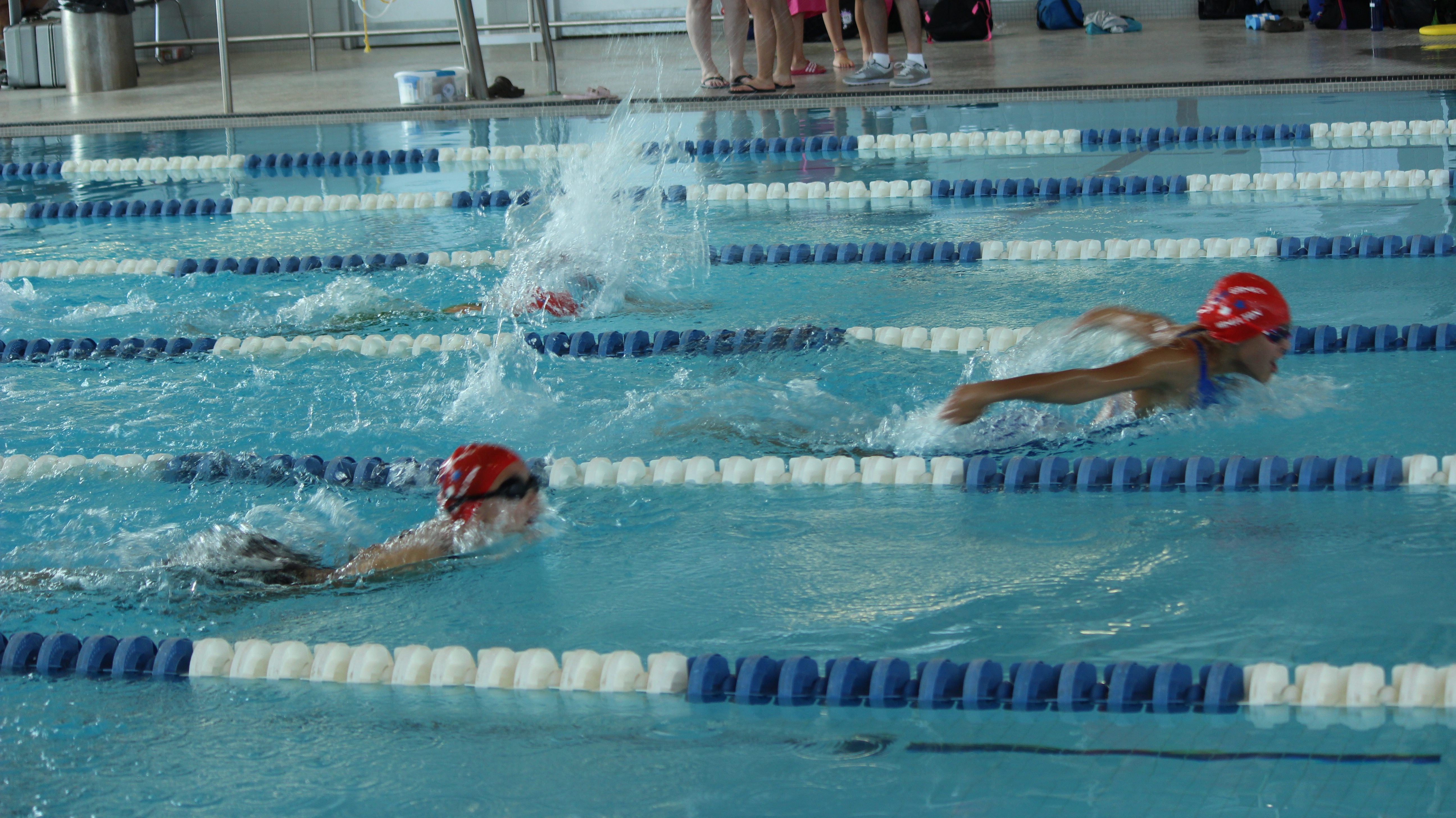 Swimming - Canusa Games